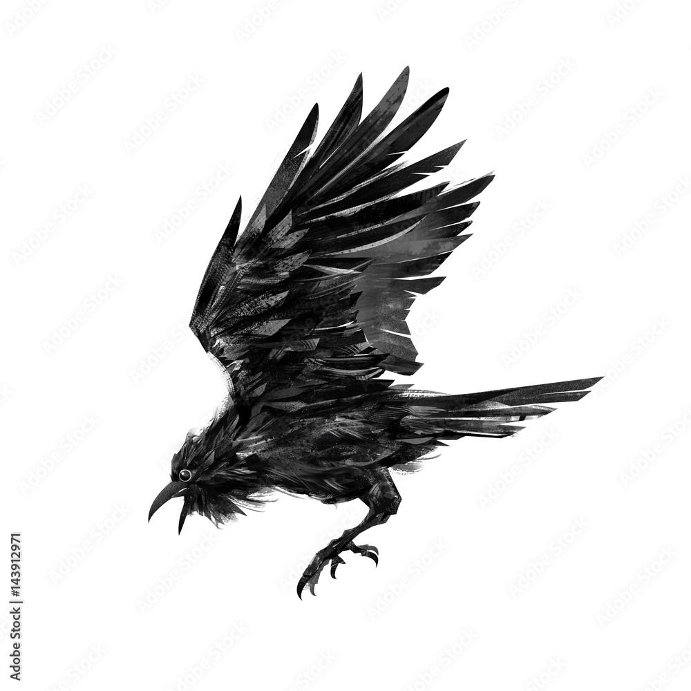 White Raven Bird Flying