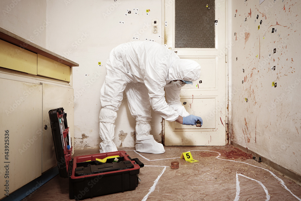 Collecting of fly larva on crime scene by criminologist Stock Photo ...