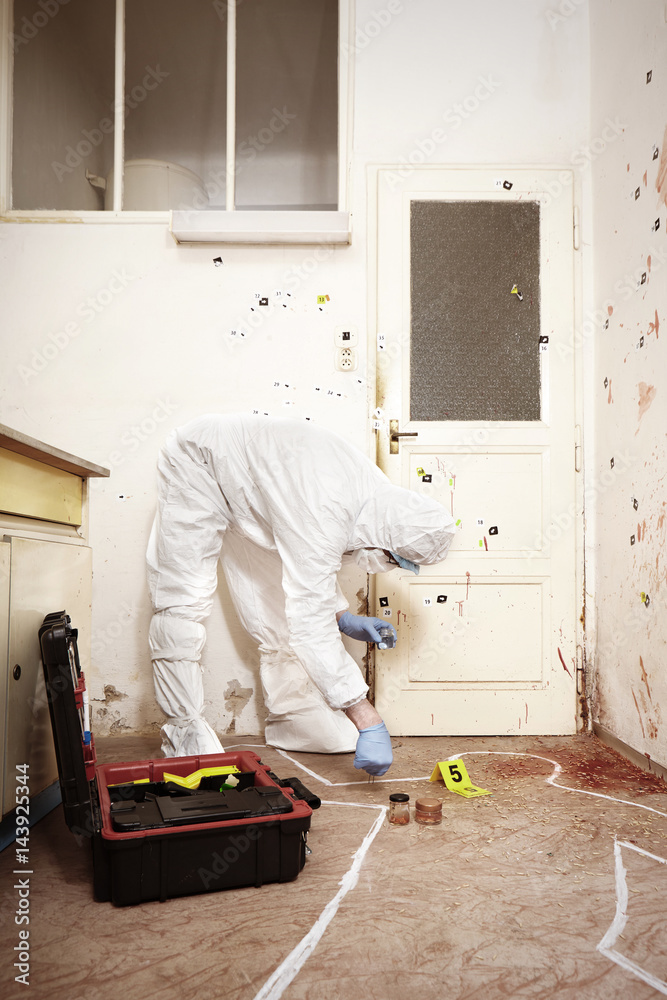 Collecting of fly larva on crime scene by criminologist Stock Photo ...
