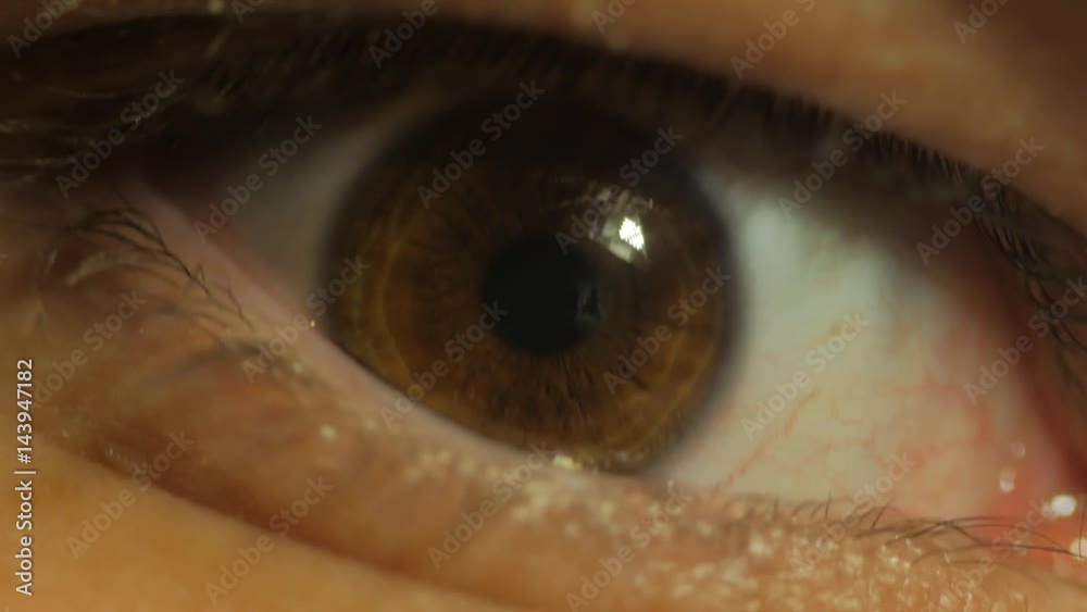 Extreme close up human brown eye iris in 4K UHD video. Human eye iris ...