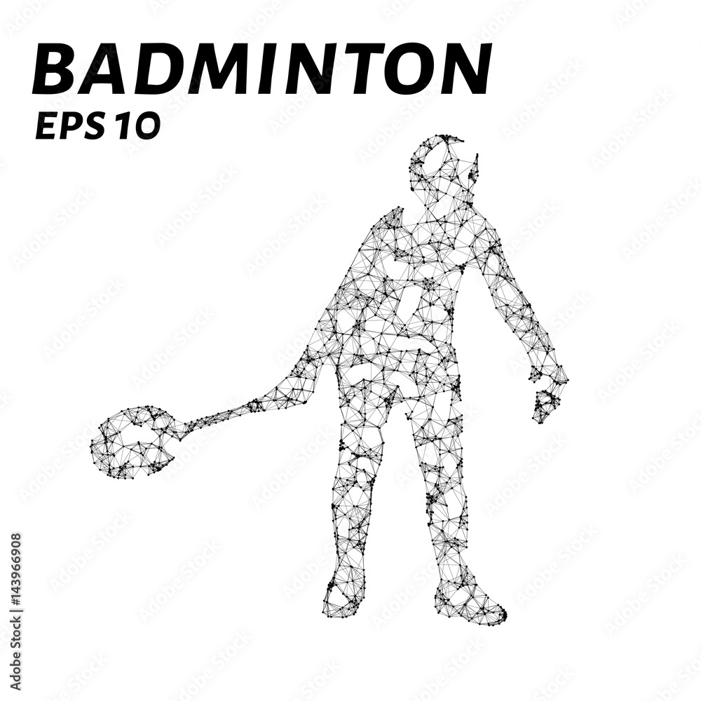 Badminton consists of points, lines and triangles. The polygon shape in ...