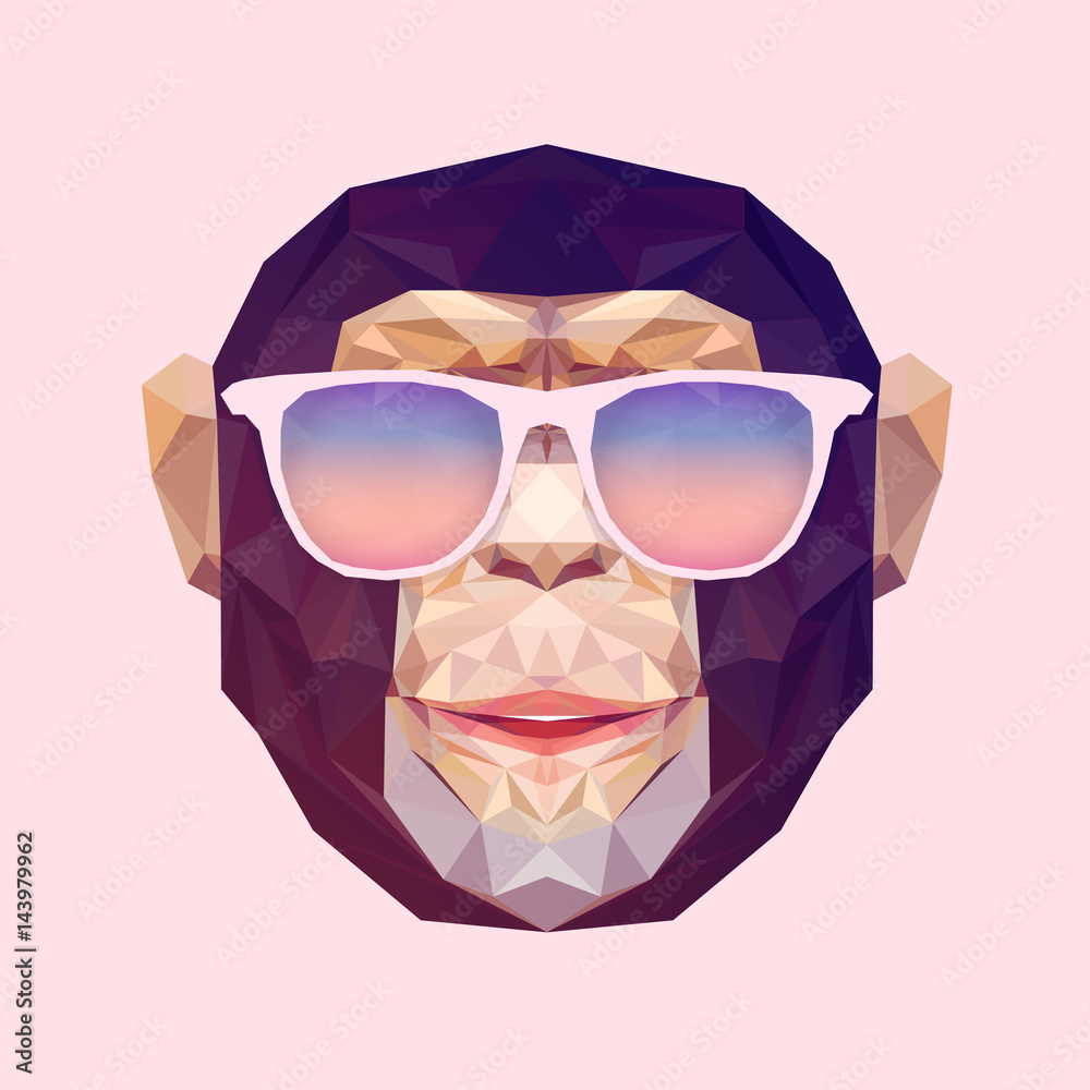 Vector portrait of monkey polygonal . Triangle illustration monkey for ...