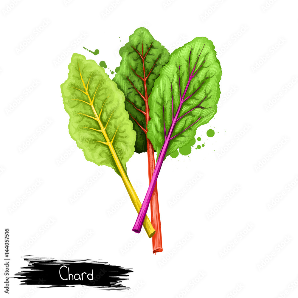 Green Vegetable Clip Art