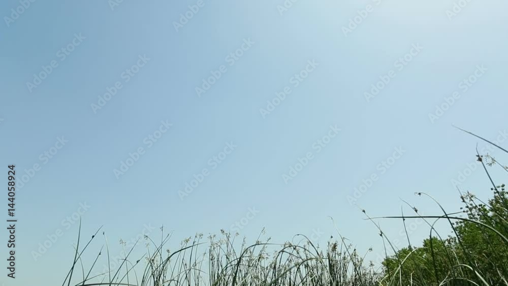 Video Stock Tilt down to Euphrates river at Karbala, Iraq. The ...
