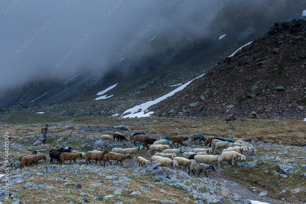 Senales/Schnals, South Tyrol, Italy. Since thousands of years the ...