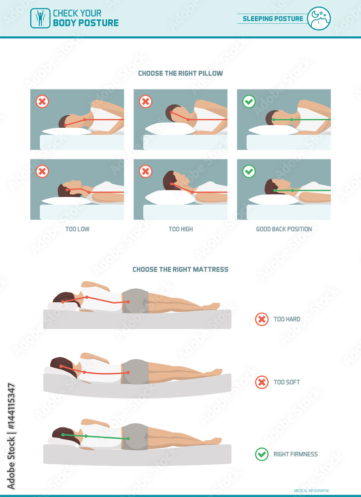 Correct sleeping ergonomics and mattress selection Stock Vector | Adobe ...