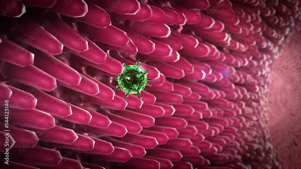 Coronavirus in the blood, inside the blood vessel, white blood cells ...