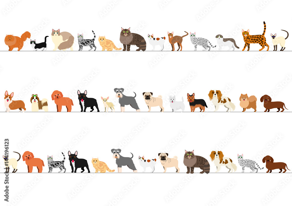 standing small dogs and cats border set Stock Vector | Adobe Stock
