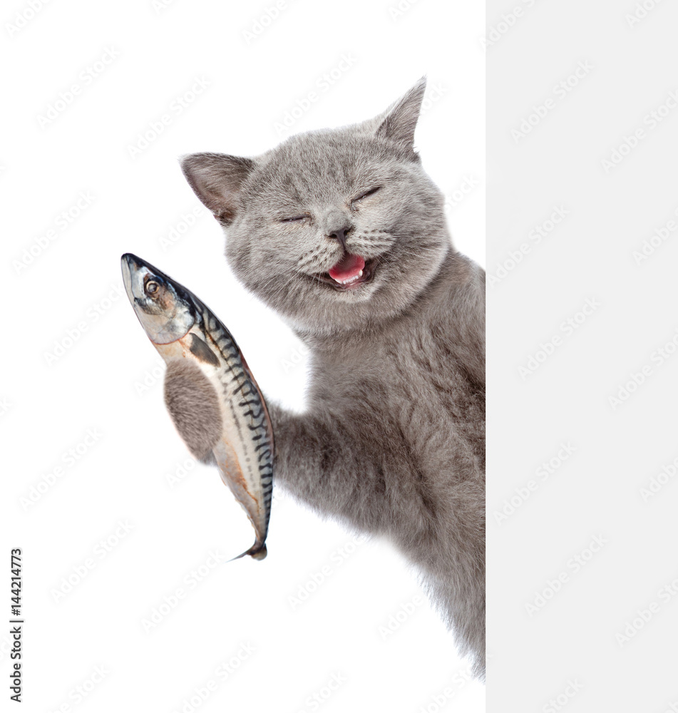 Happy cat holding a fish in its paw and peeking from behind empty board ...