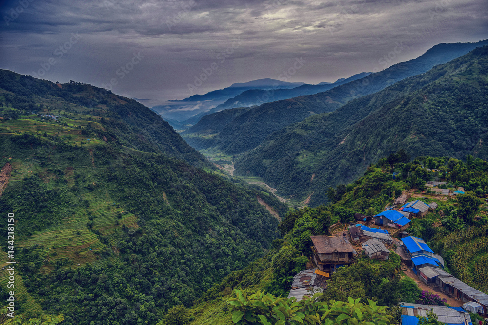 Mandre Stock Photo | Adobe Stock