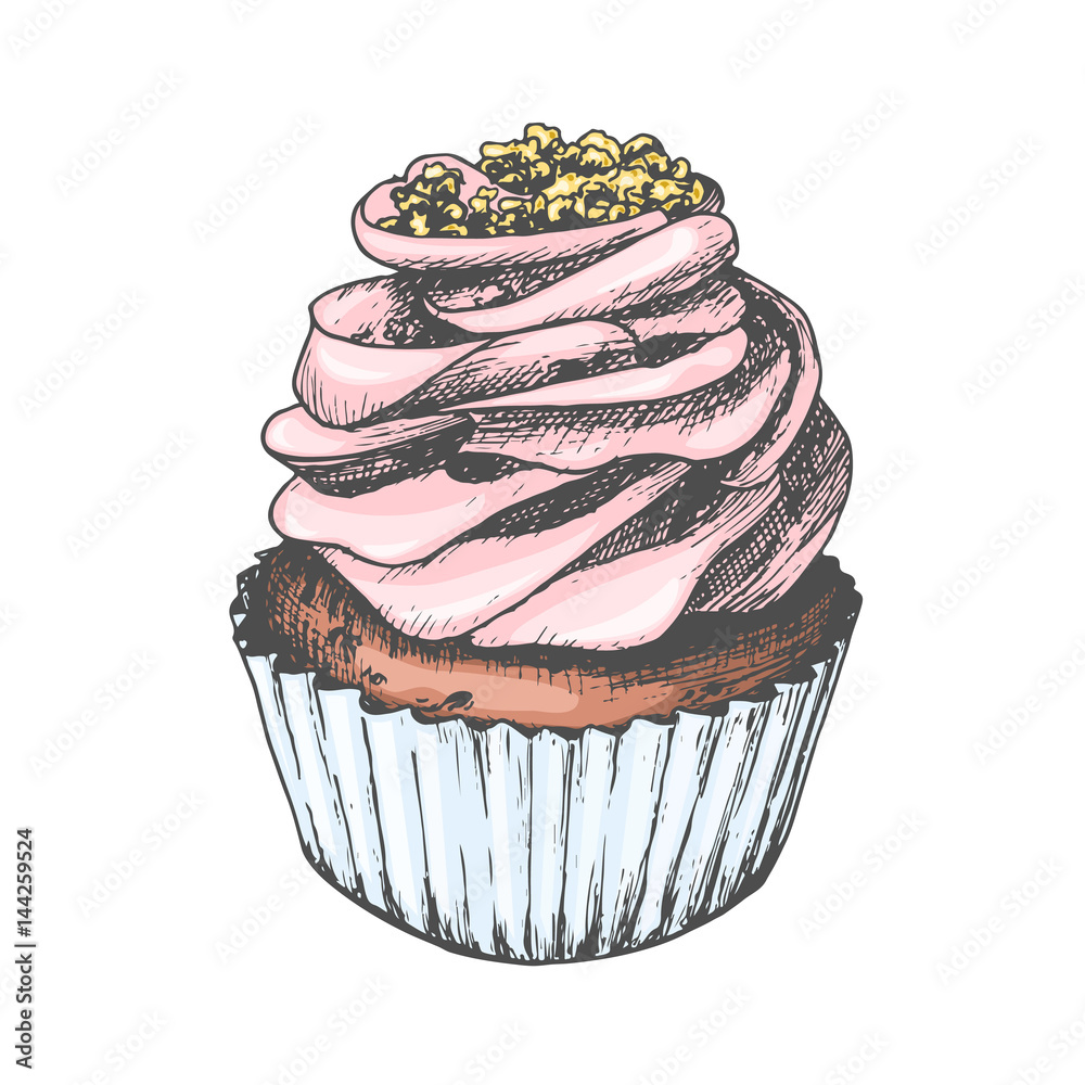 Hand drawn cupcake, vintage colorful food sketches, isolated on white background. Vector ...