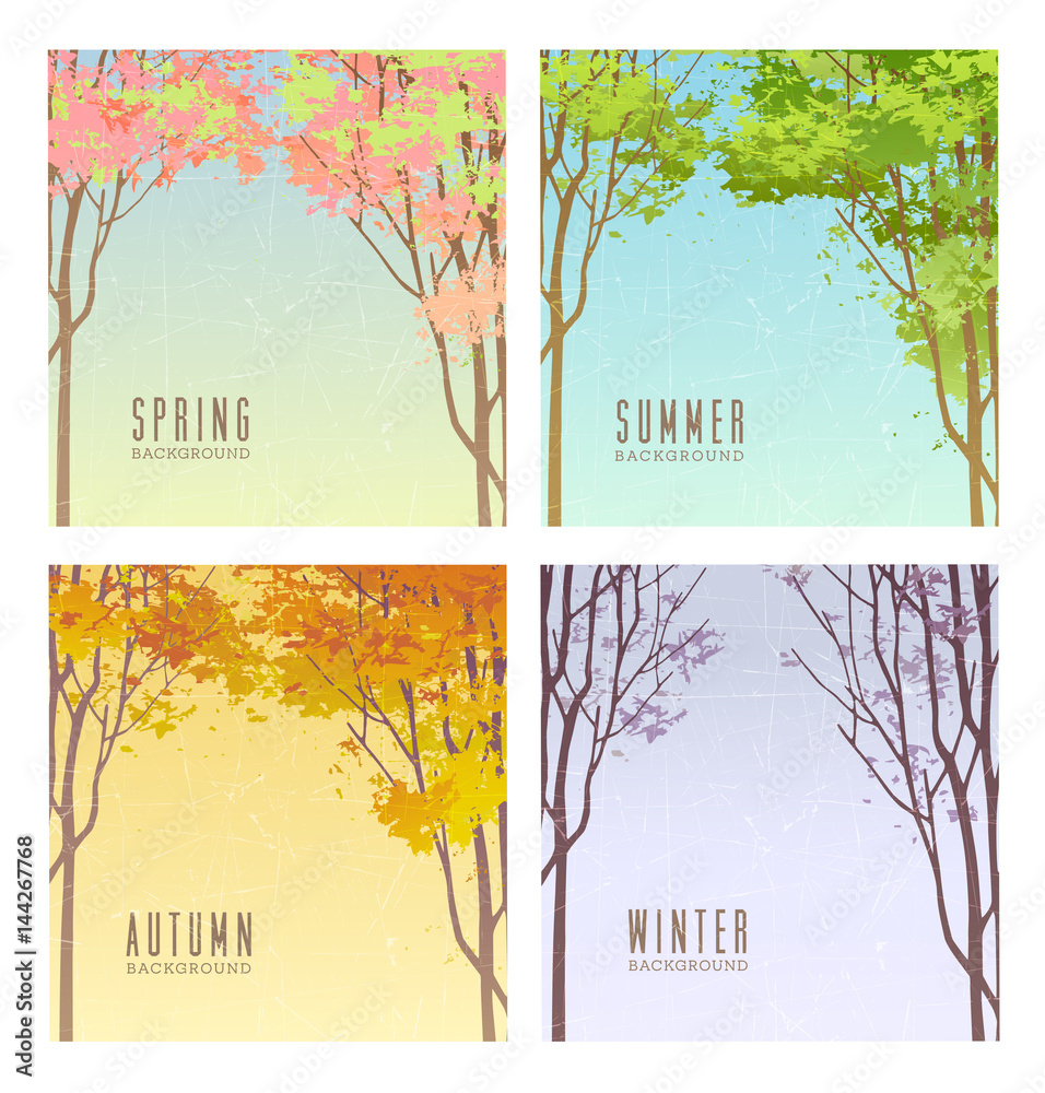 set of backgrounds illustrating the 4 seasons with trees and foliage ...