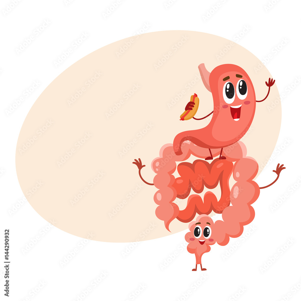 Cute and funny, smiling healthy stomach and bowel, intestine character ...
