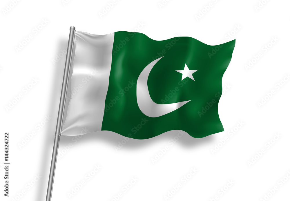 Drapeau du Pakistan en qualité vectorielle Stock Vector | Adobe Stock