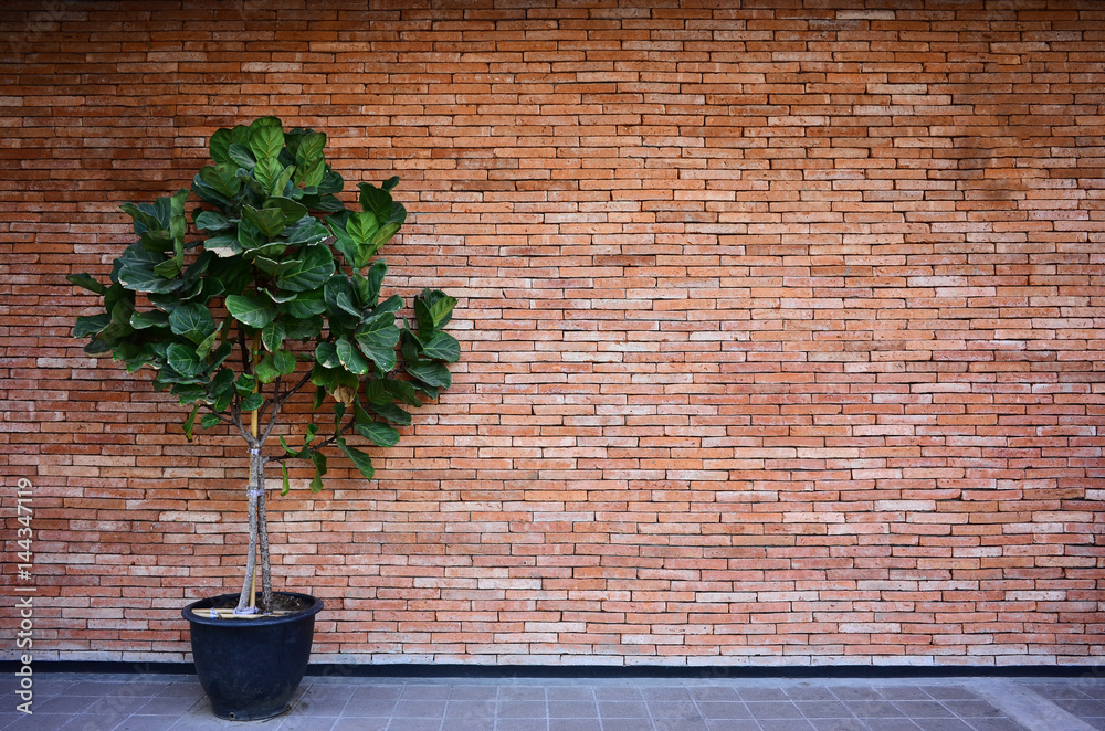 red brick background with tree Stock Photo | Adobe Stock