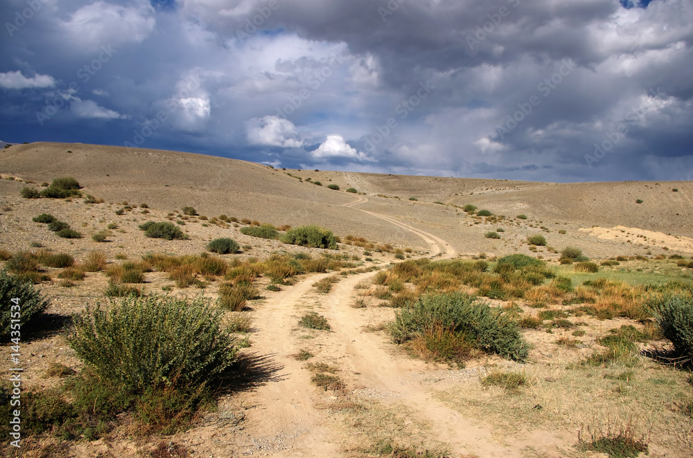 Road path on a desert wild mountain plateau orange yellow dry bush ...