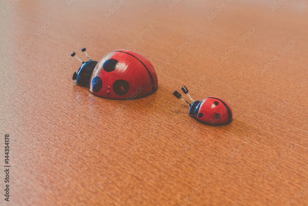 Ladybugs, mom and her children Stock-Foto | Adobe Stock