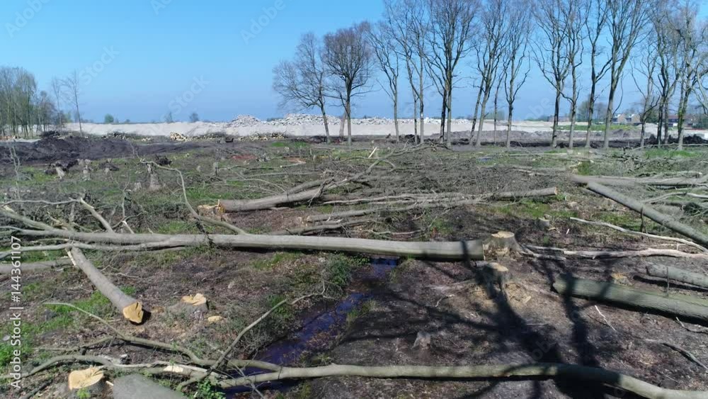 Aerial bird view flying forwards over destroyed cut forest blue sky ...