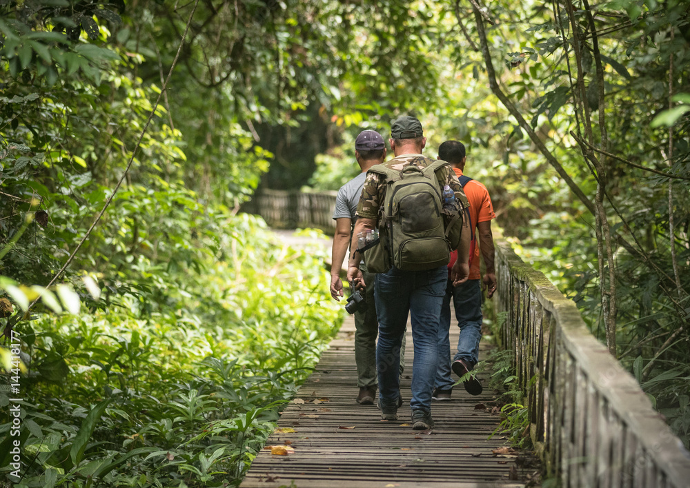 The boardwalk in Niah National Park in Sarawak Malaysia, walked by ...