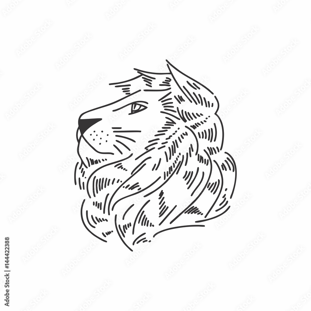 lion head icon logo line drawing Stock Vector | Adobe Stock