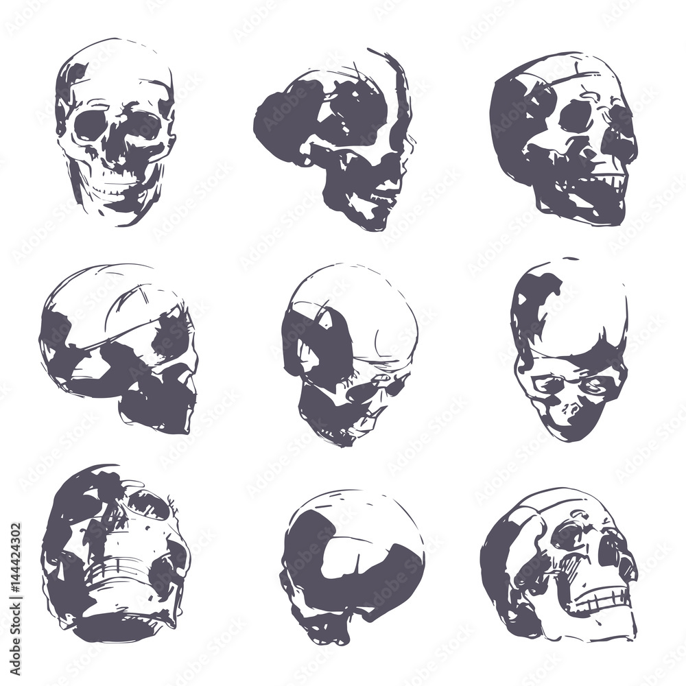 Human skull in rough sketch. Man head anatomy hand-drawn vector ...