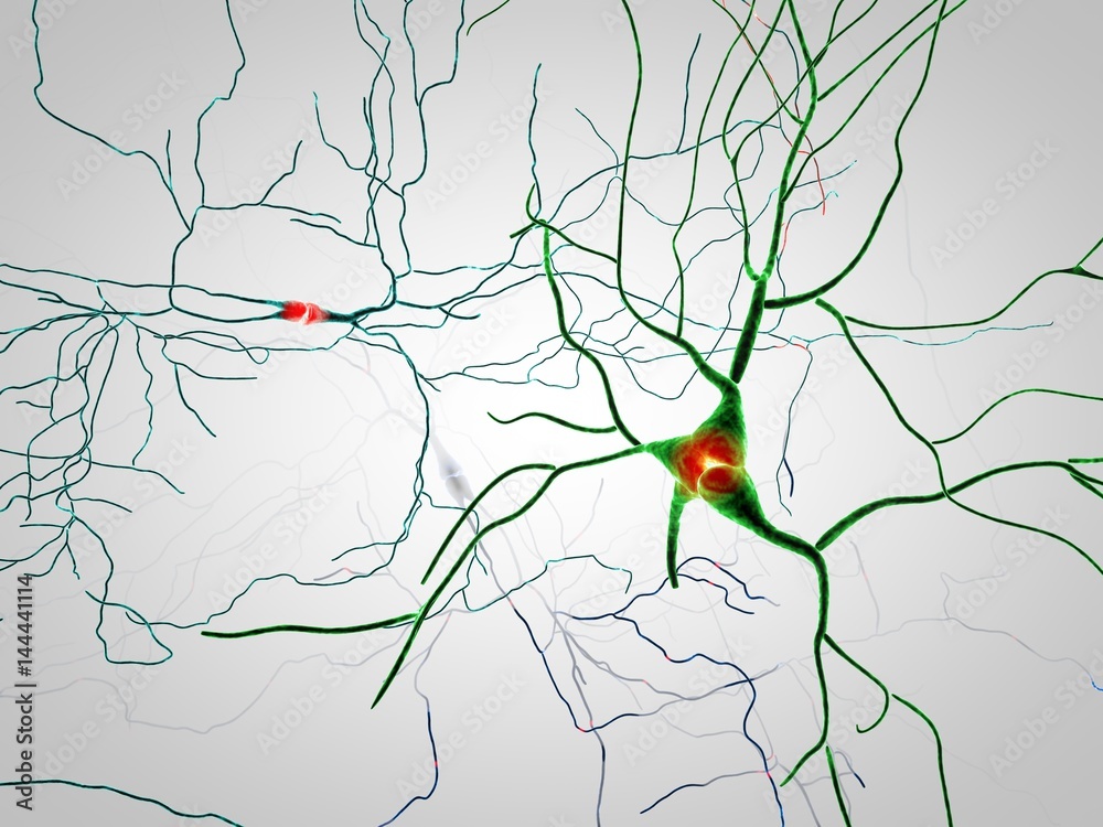 Cervello, neuroni, sinapsi, rete neurale, circuito di neuroni, malattie ...