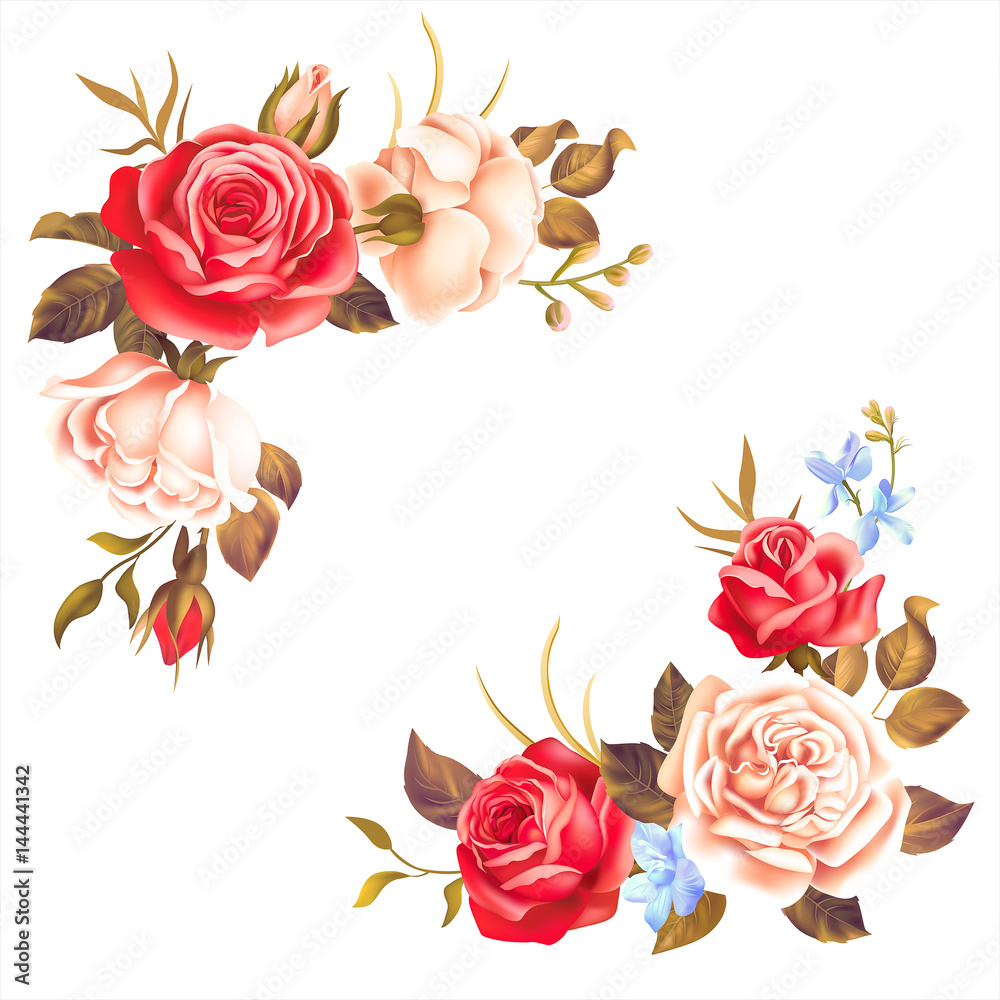 Borders with white and red roses on white background. Vector ...
