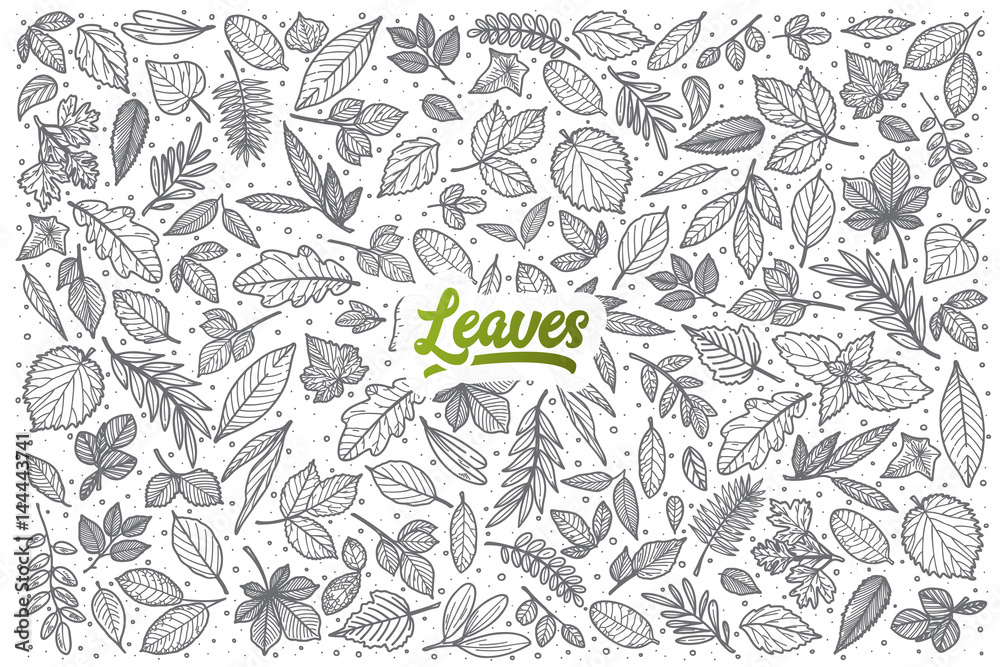 Hand drawn Leaves doodle set background with green lettering in vector ...