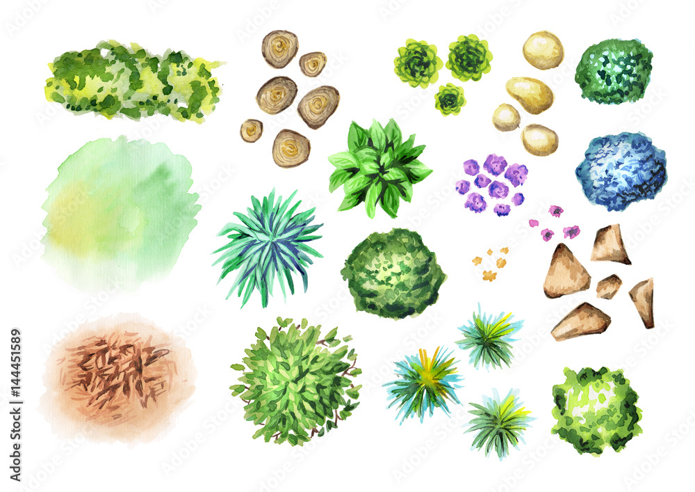 Big hand drawn garden plants set. Elements of landscape design ...