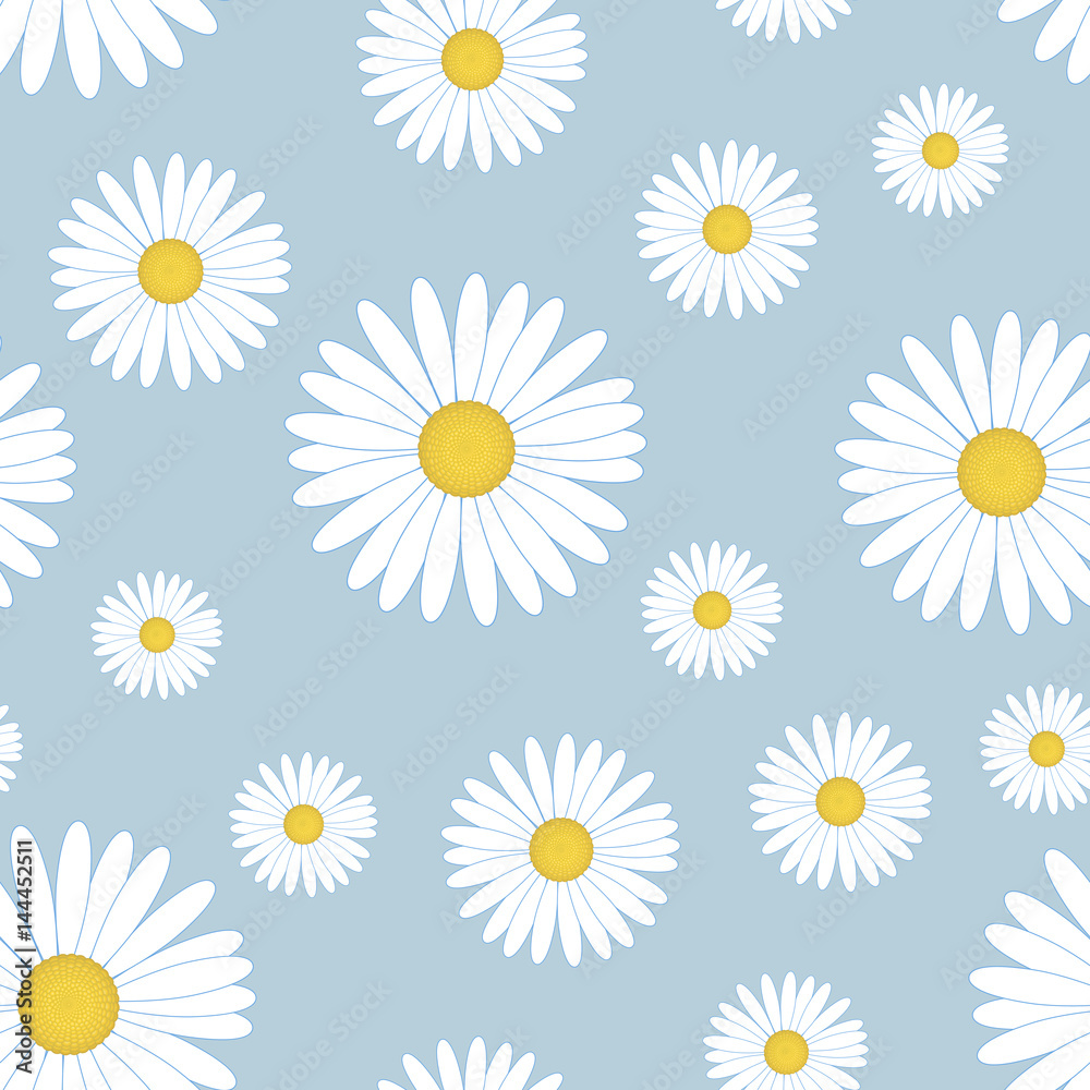 White Daisy Background