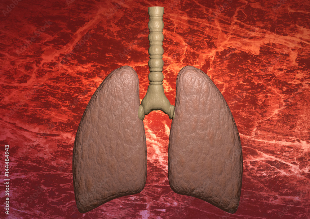 Pulmão humano, renderização 3D Stock Illustration | Adobe Stock