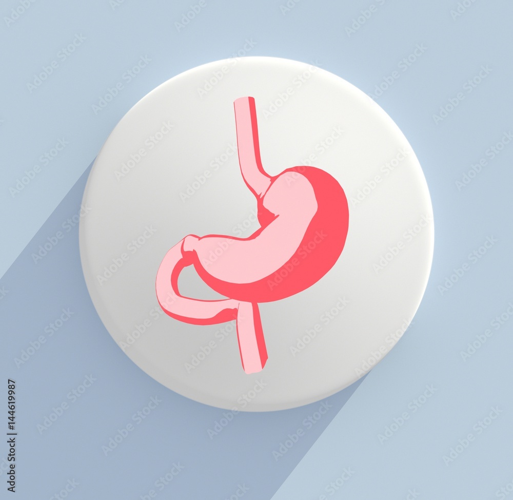 Stomach infographic. Anatomical icon of stomach on white circle ...