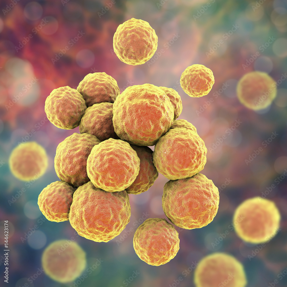 Bacteria methicillin-resistant Staphylococcus aureus MRSA, multidrug resistant bacteria, 3D ...