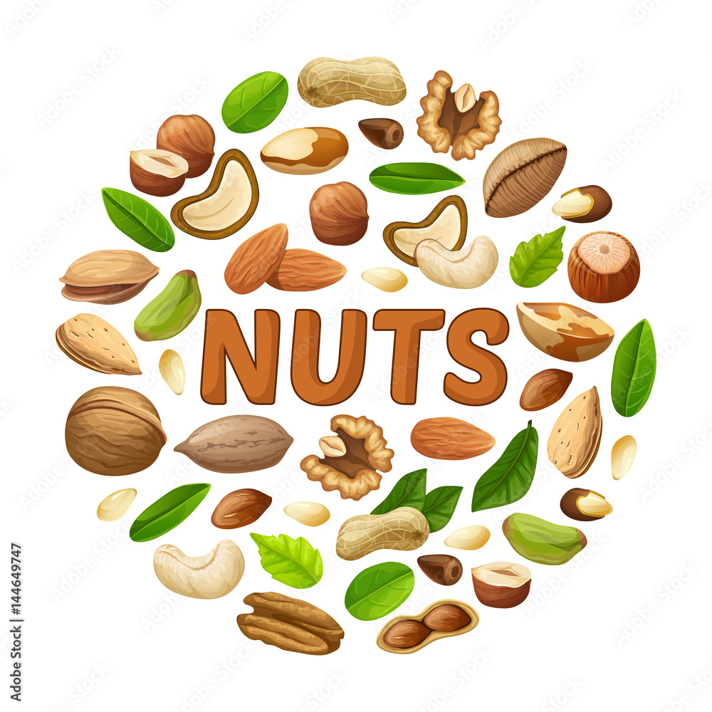 Cartoon Nuts Round Concept Stock Vector | Adobe Stock
