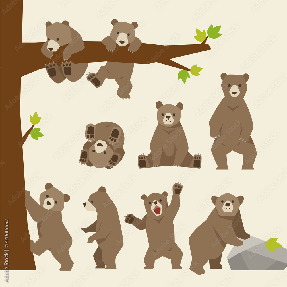 baby bear various poses illustration set Stock Vector | Adobe Stock