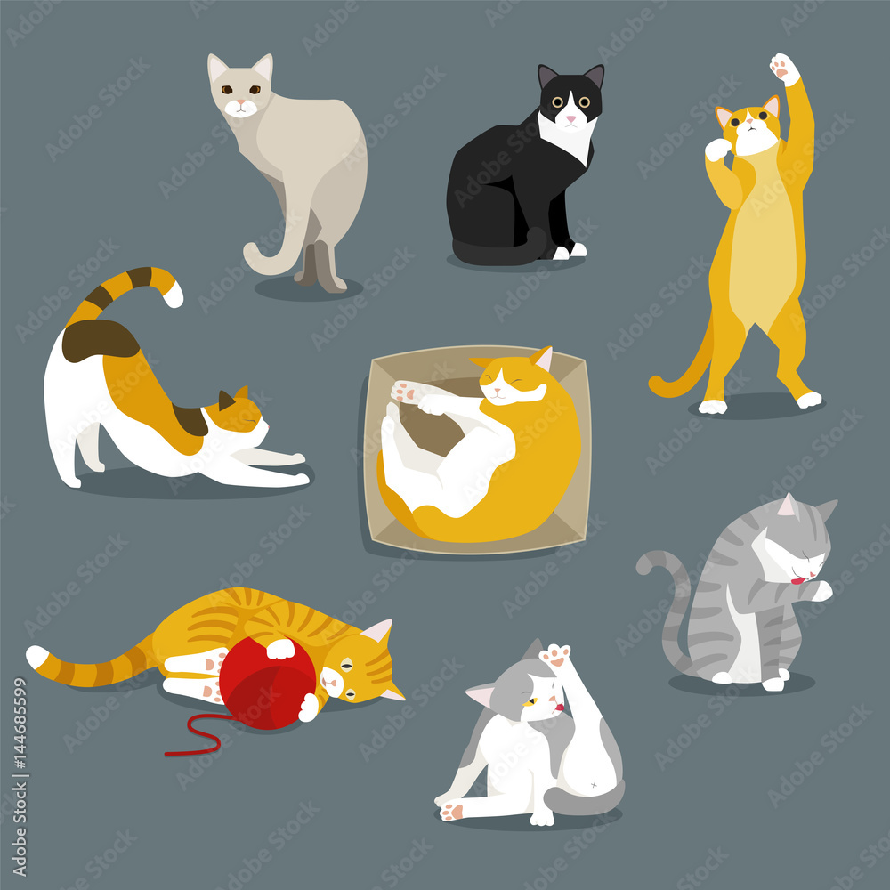 Cute Cats Flat Design Illustration Set Stock Vector Adobe Stock