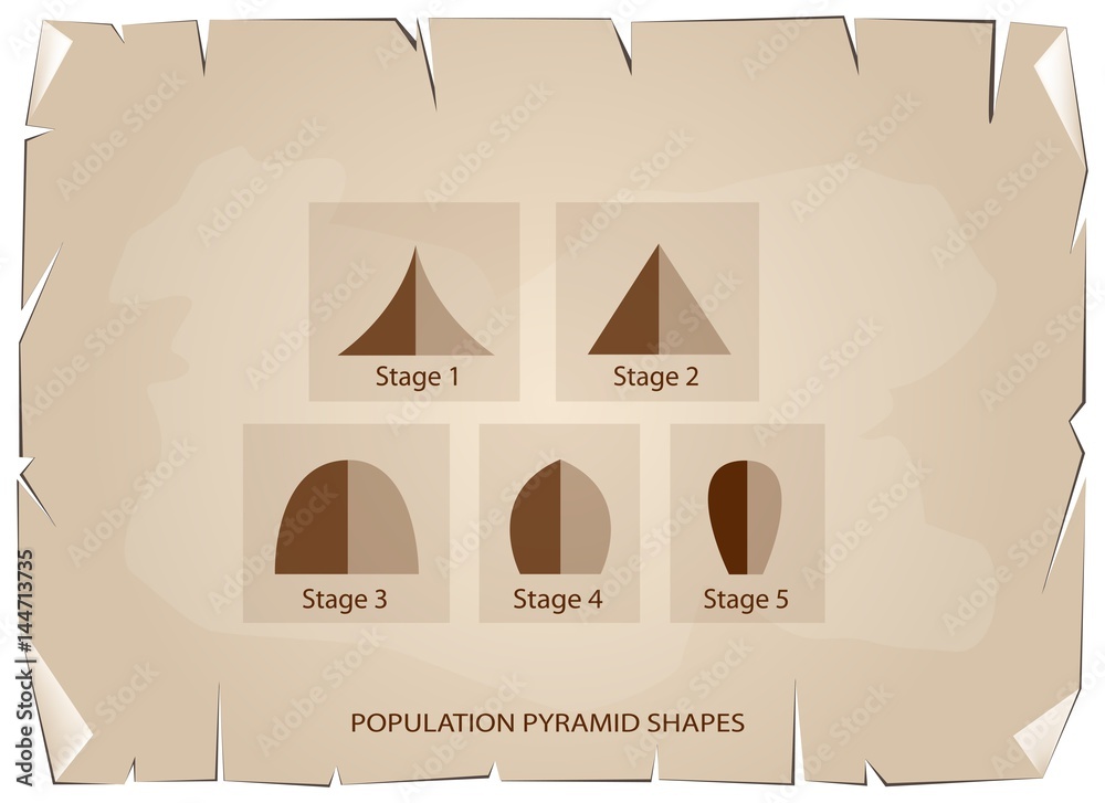 Different Types of Population Pyramids on Old Paper Background Stock ...