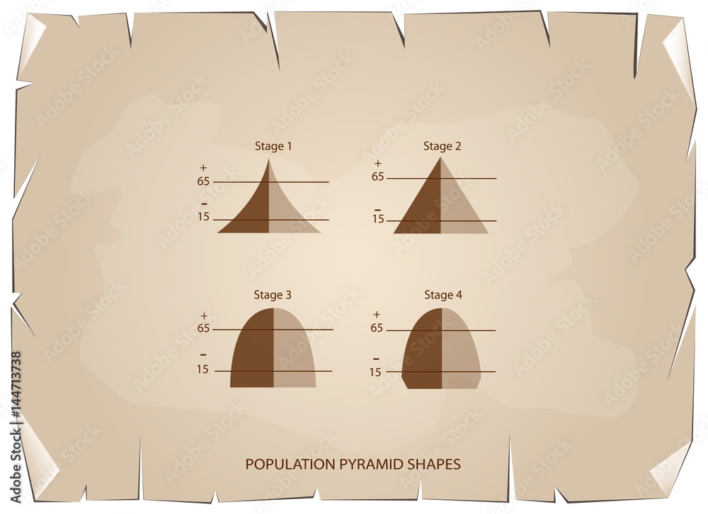Four Types of Population Pyramids on Old Paper Background Stock Vector ...