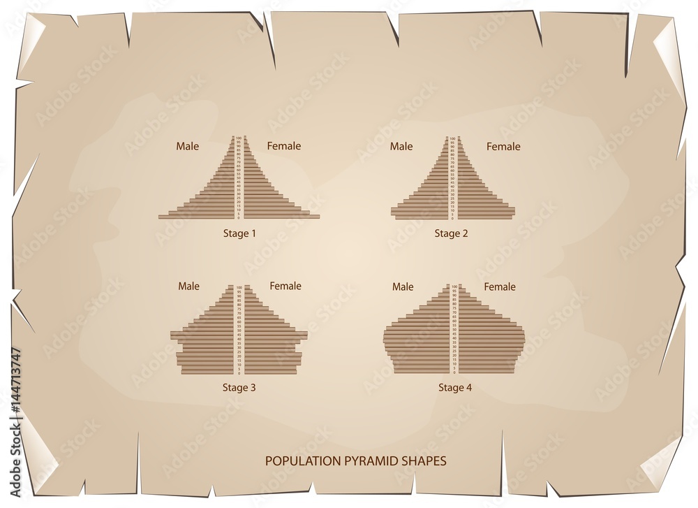 Four Types of Population Pyramids on Old Paper Background Stock Vector ...