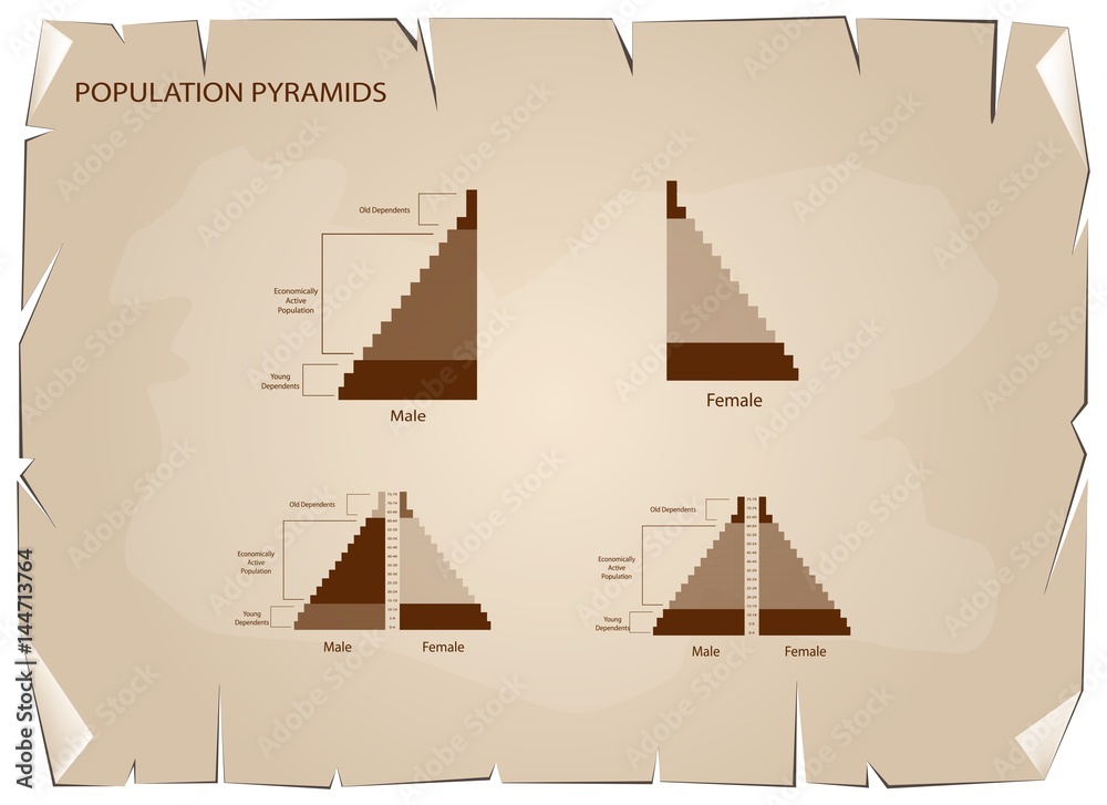 Detail of Population Pyramids Graphs Depend on Old Paper Background ...