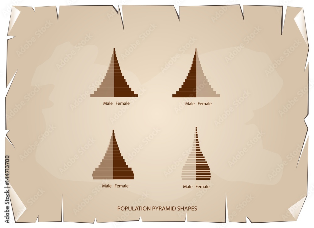 The 4 Types of Population Pyramids Graphs Stock Vector | Adobe Stock