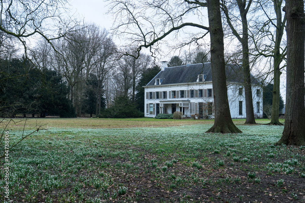 Old Dutch mansion with parc and forrest full of snowbells in ...