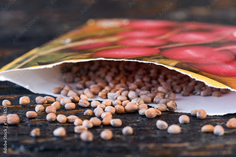 Radish Seeds Spilled from a Seed Packet Stock Photo | Adobe Stock