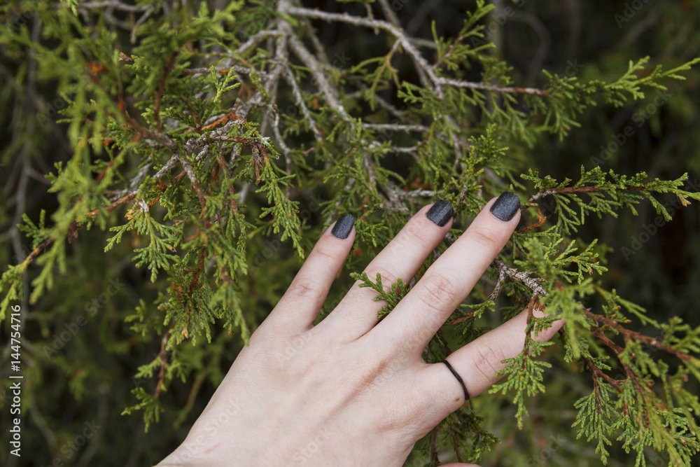 Mano de una mujer joven tocando partes de la naturaleza Stock Photo ...