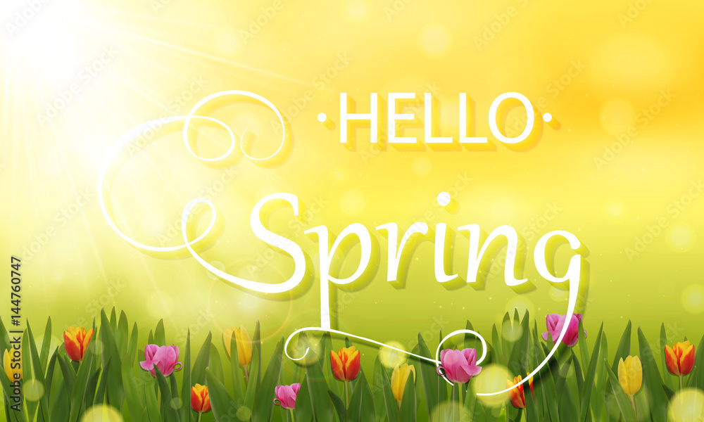 Hello Spring Facebook Cover