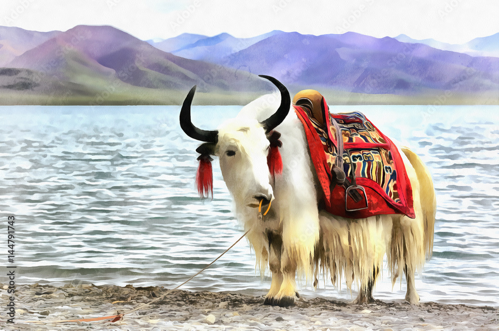 Colorful painting of domestic yak portrait Stock Illustration | Adobe Stock