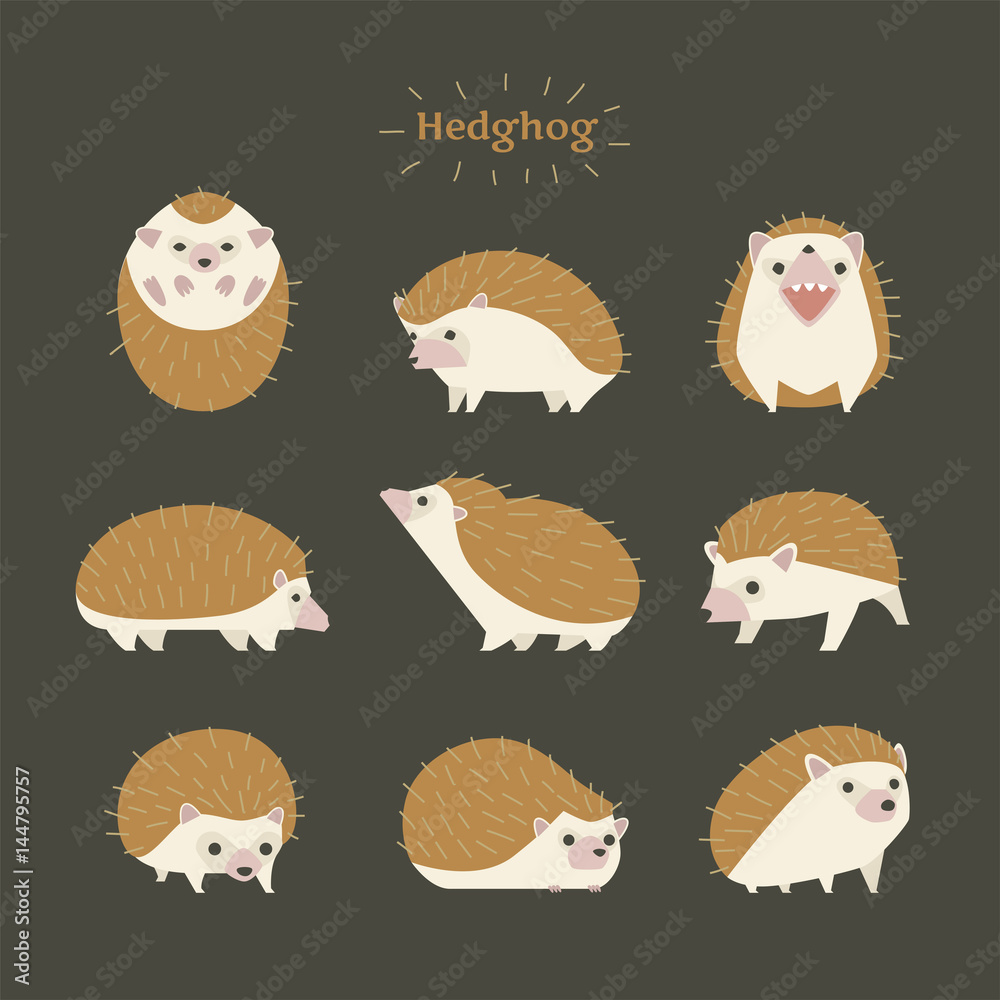 cute Hedgehog various pose face set Stock Vector | Adobe Stock