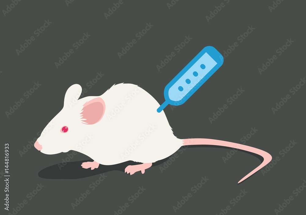 Lab white rat vector illustration Stock Vector | Adobe Stock