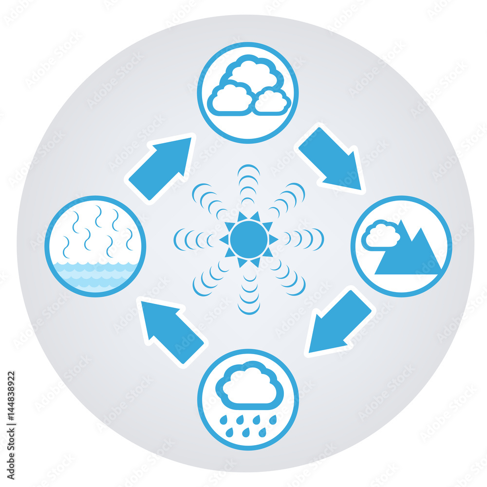 infographic of the water cycle under the action of the sun Stock Vector ...