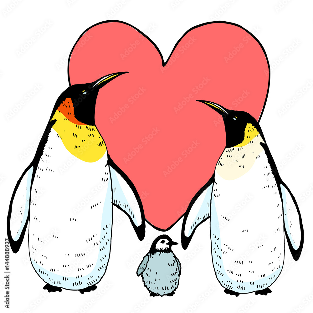 Vector penguins family with baby illustration. Hand drawn sketch of ...